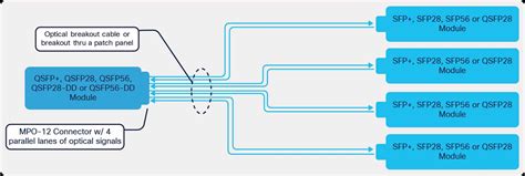 SFP Connector Pinout Everything You Need To Know