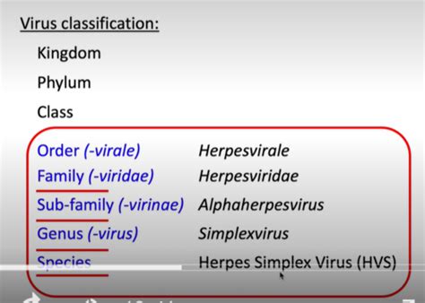 Taxonomy Review Flashcards Quizlet