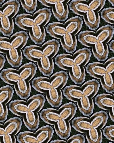 Book Review The Symmetries Of Things By John Horton Conway Heidi Burgiel And Chaim Goodman