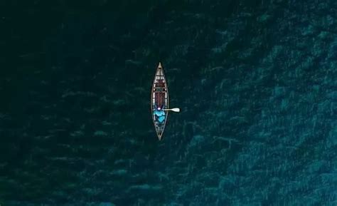 保持一颗好奇心，是对抗抑郁的良药 搜狐大视野 搜狐新闻