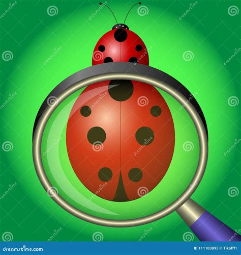 Ladybug Under Microscope Ladybird On White Background Cute Cartoon Ladybug Icon