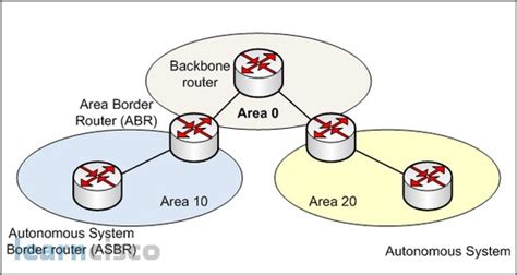 OSPF Basics CCNAX