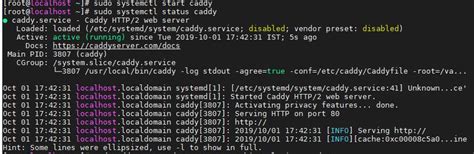how to download and use caddy web server on centos 8 linux h2s media