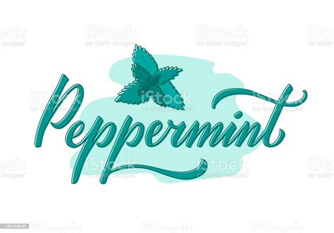 Peppermint Creative Text On Pastel Background Stock Illustration