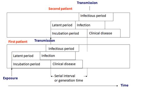 Incubation Period Definition And Examples Biology Online Dictionary