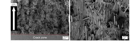 Fesem Micrographs Of Tested Fracture 3d Printed Pa Cf Samples Xy Download Scientific Diagram
