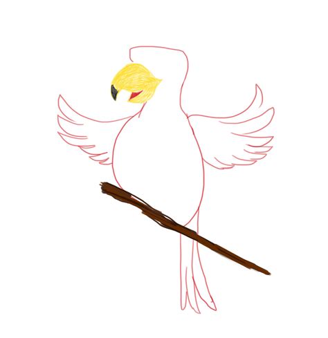 손그림일러스트 앵무새그리기