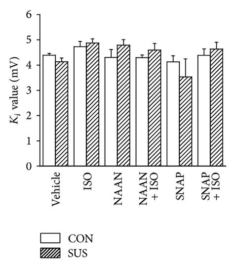 Properties Of Ltcc Steady State Inactivation In Cardiomyocytes Of