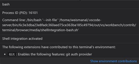 Correct Python Environment In Terminal No Longer Loads · Issue 21943