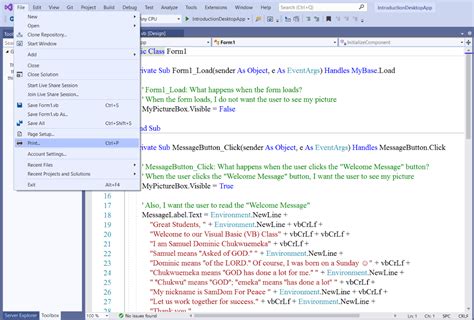 Visual Basic