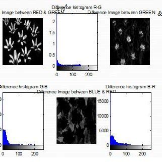 Difference Images Between Red Green Green Blue Red Blue And Download Scientific Diagram
