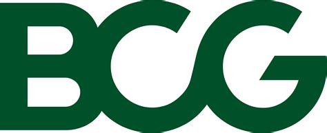 Data Scientist Bcg X