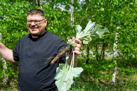 Алтайское Холмогорье - долина семейного отдыха в с. Алтайское