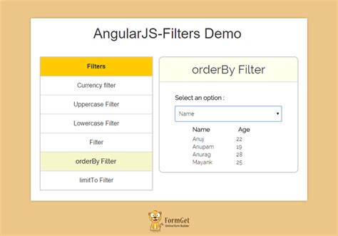 Angularjs Filter Formget