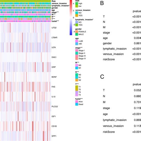 Correlation Between Clinical Phenotypes And Expression Levels Of Genes Download Scientific