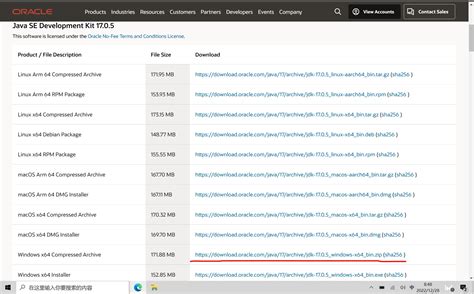 Windows配置java17 拾一贰叁 博客园