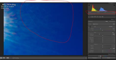 Camera Sensor Scratch At Agnes Hendricks Blog