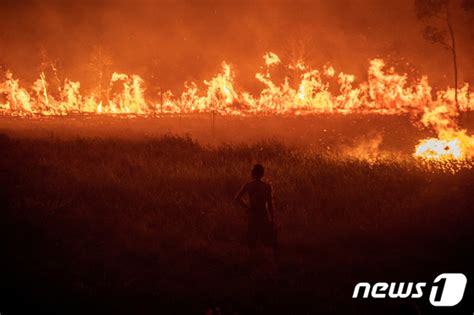 사진 온 산 불 태우는 인도네시아의 산불 뉴스1