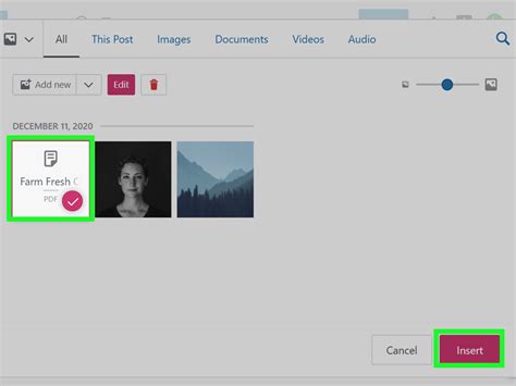 How To Add Downloadable Pdf To Wordpress Elementor Themewaves