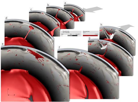 Geodynamic Modelling Procedure S Ink · From Source To Ink