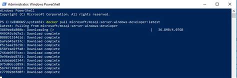 Running Sql Server Developer In A Windows Based Docker Container