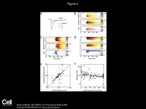 Receptive Field Modification In Rat Visual Cortex Induced By Paired