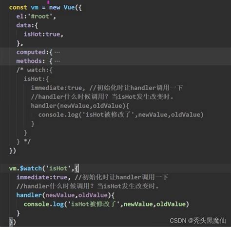 vue中的监视属性的两种方式 vue visibility sensor csdn博客