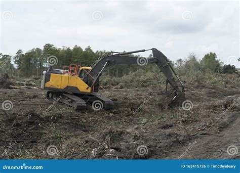 Construction Machinery Clearing Brush And Trees On A Property Prior To Construction Stock Photo