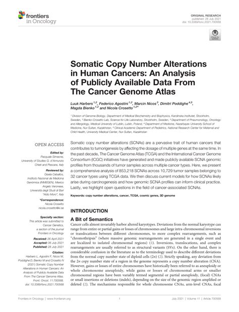 Pdf Somatic Copy Number Alterations In Human Cancers An Analysis Of
