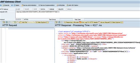 Sap Interfacing Odata