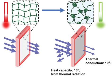 Thermal Conduction