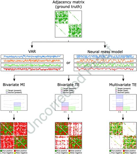 Pipeline Of The Network Inference Comparison Using The Cocomac
