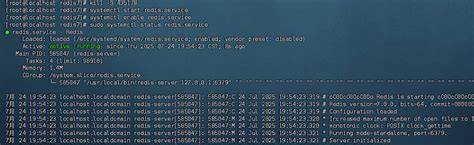 在linux环境安装redis（保姆级教程）linux 安装redis Csdn博客