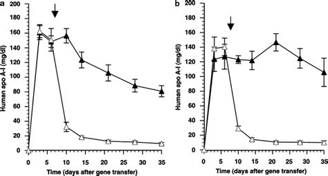 Absence Of Episomal Replication Following Hydrodynamic Gene Transfer Download Scientific