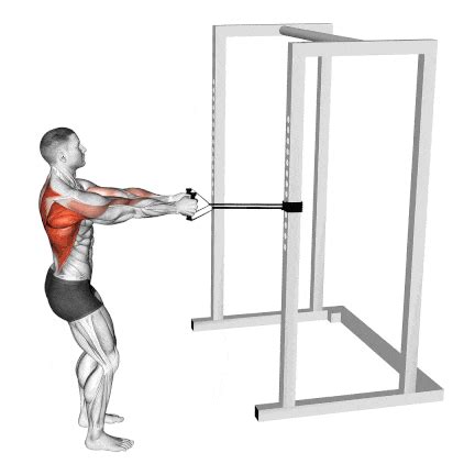 10 Best Resistance Band Back Exercises With Workout Routines