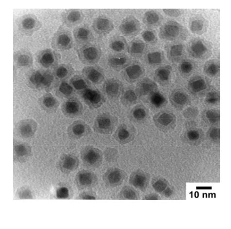 Negar Rajabi On Linkedin Coreshell Coreshellnanocomposites