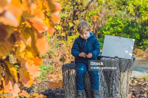 가을을 즐기는 귀여운 어린 아이 소년 화창한 날에 정원이나 공원에서 즐거운 시간을 보내고 등반하는 법을 배우는 다채로운 가을 옷을 입은 유치원 어린이 가을에 대한 스톡 사진