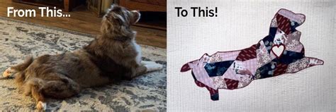 Scrappy Applique Montavilla Sewing Centers