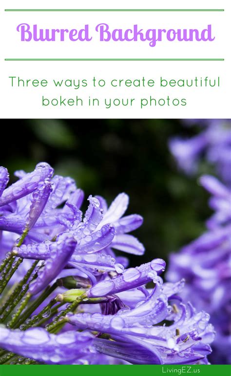 Bokeh How To Blur Background In Simple Steps Living EZ