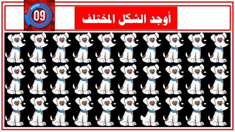 اوجد الكلب البوبي المختلف ؟ Mind Games Ep149 Youtube