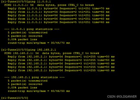 网络配置：bgp对等体关系与ospf隧道配置实践 csdn博客