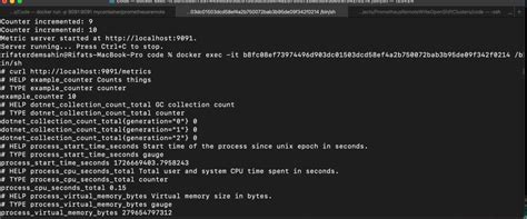 🚀 Accessing Prometheus Metrics In A Docker Container Rifat Erdem Sahin