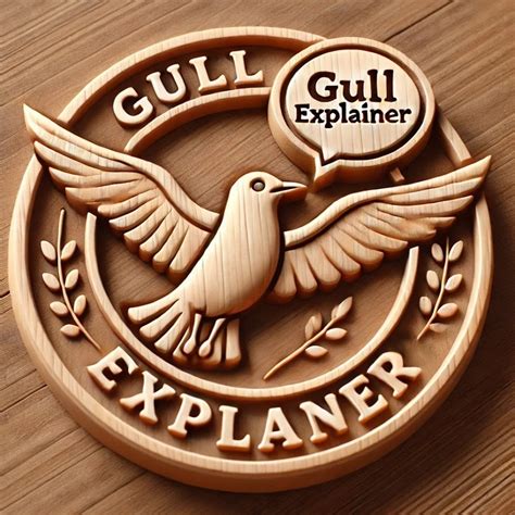 Gull Explainer Youtube
