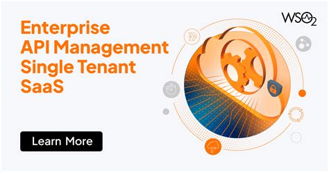 Enterprise Api Management Single Tenant Saas