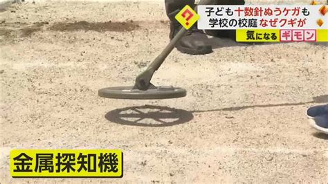 【校庭にクギ】教育委員会“金属探知機”で調査実施 40分で7本発見 運動会などで使用しそのまま残る 宮城・岩沼市｜fnnプライムオンライン