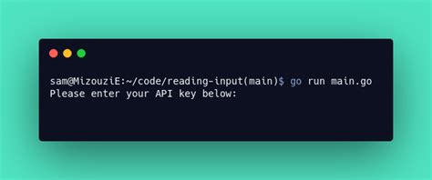 3 Ways To Read Input With A Go Cli Web With Mizouzie