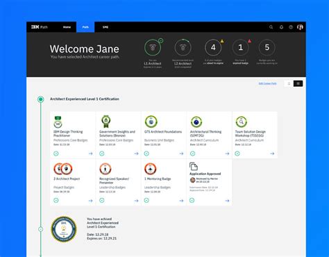 2018 Ibm Career Model Framework On Behance
