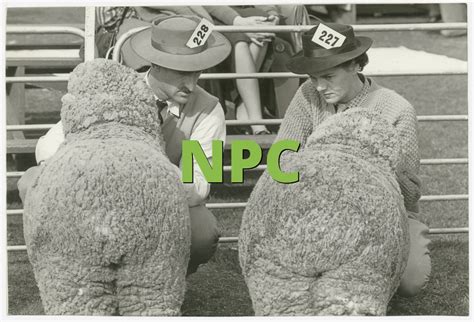 NPC Meaning Slang Term Definition Example Usage Slang Org