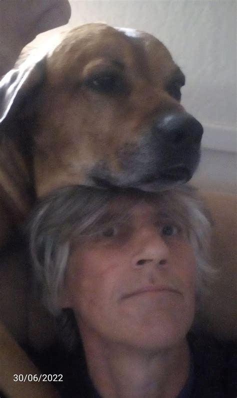 Boof And His Lackey Rlookatmydog