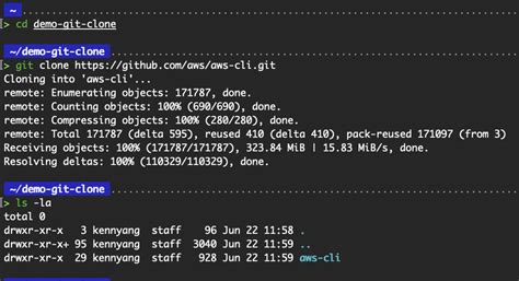 Git Clone Command: From Basic Usage to Advanced Techniques | DataCamp